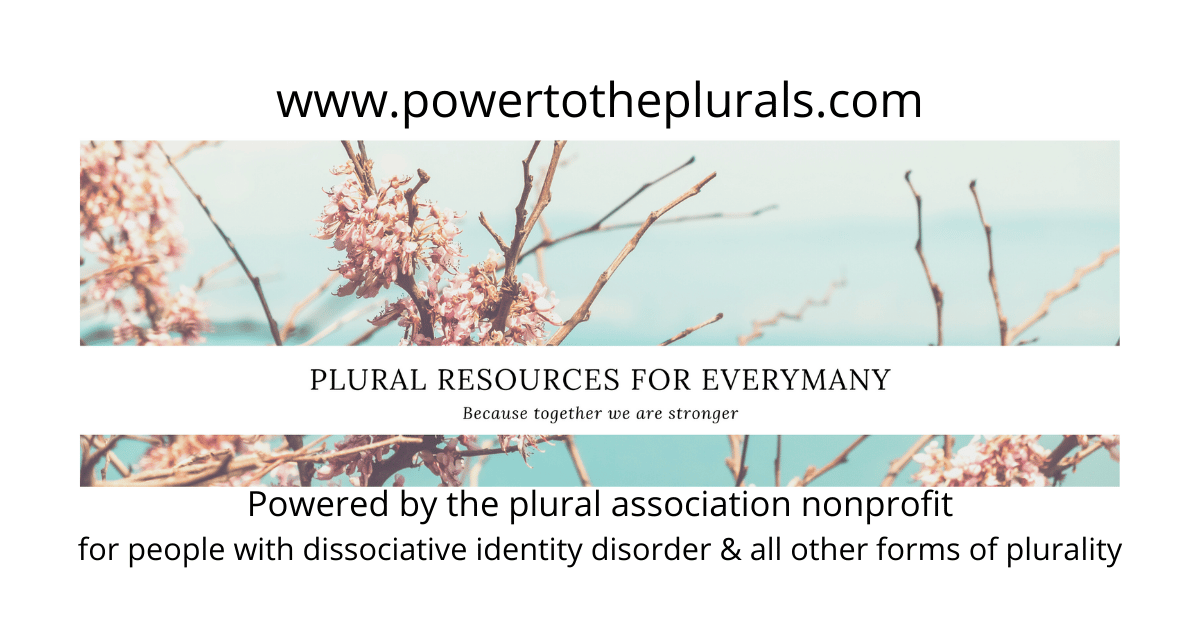 Plurality System Did